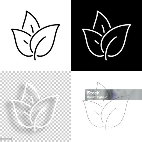 차 잎 디자인 아이콘입니다 빈 흰색 및 검은색 배경 선 아이콘 녹차에 대한 스톡 벡터 아트 및 기타 이미지 녹차 잎 개념