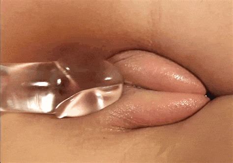 Plump Maporpam