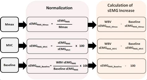 2 Schematic Representation Of The Normalization Procedures Download
