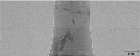 Figure 5 From Correlative Tomography Combining X Ray Nanotomography And Fib Sem Serial