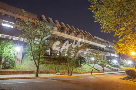 중앙대학교 중앙대학교