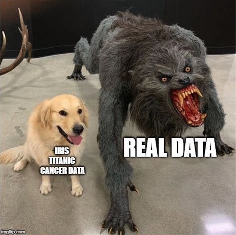 data science memes