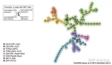 Flowjo之 T Sne：流式数据高质量输出的“小机灵鬼儿” 知乎