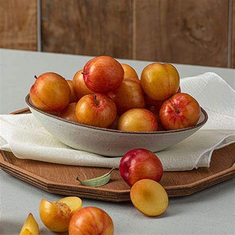 대석 자두 후무사 도담 왕 추희 꿀 새콤 1kg 오아시스마켓믿을 수 있는 먹거리