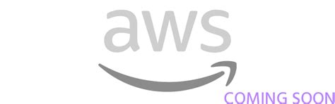 Blockchain Data Platform Token Flow