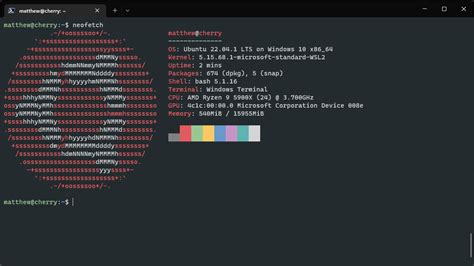 windows terminal theme · issue 16 · pawelgrzybek gatito theme · github