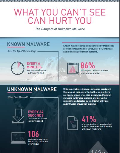 The Dangers Of Unknown Malware BankInfoSecurity