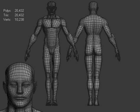 Basemesh Polycount