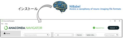 Pythonでmrictpetなどの医用画像を扱うことができるnibabelの導入方法と使い方 小倉の自由研究