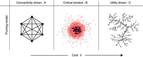 Schematic Representation Of The Network Classes Obtained By Our Download Scientific Diagram