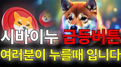 시바이누 이제는 시바이누코인을 보유하신분들이 결정할 시간입니다 시바이누 폭등코인 Youtube