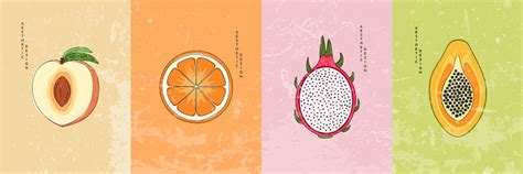 벡터 일러스트레이션 현대 미술 배경의 컬렉션 손으로 그린 복숭아 오렌지 드래곤 과일 파파야 선 및 모양 그리기 플랫 만화 스타일 포스터 표지 잡지 레이아웃을위한 디자인