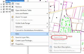Arcgis Desktop Exporting Layer From ArcMap With Detail Geographic Information Systems Stack