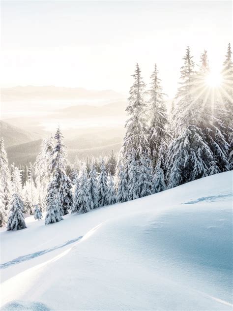 Snow White Gallery Wall