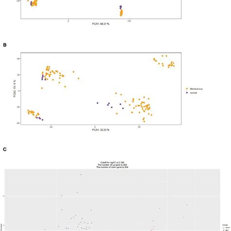 A Pca Clustering Results Of Expression Dataset Before Removing