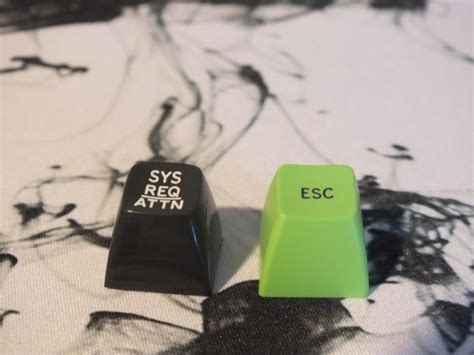 Quick Comparison Between Vintage Ibm Beamspring Or Selectric I Keycaps And Maxkeys Sa R