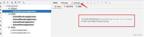 idea2022 run dashboard service服务不显示端口号解决方法 idea自带的jmx不能监听到微服务项目启动时的端口号