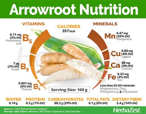 Arrowroot Vs Potato Starch At Donna Bush Blog