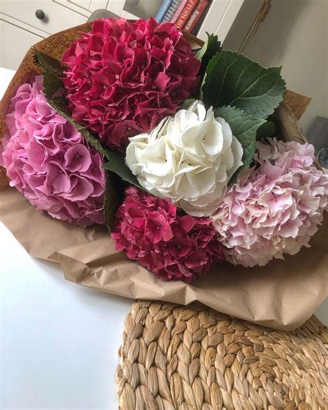 Hydrangea Cabbage Food Vegetables