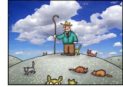 Herding Cats Praxis Framework