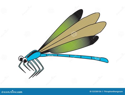 Dessin De Libellule Illustration Stock Illustration Du Dessiné 53338156