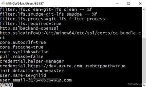 【前端工程化】git入门指南：轻松掌握从安装到操作！git在前端如何使用 Csdn博客