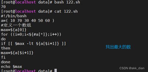 sh脚本函数 数组 expect免交互 expect脚本 数组 CSDN博客