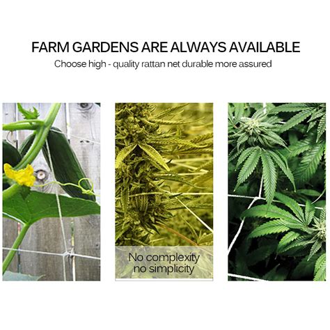 Polyester Netting Trellis Easy Gadgetx