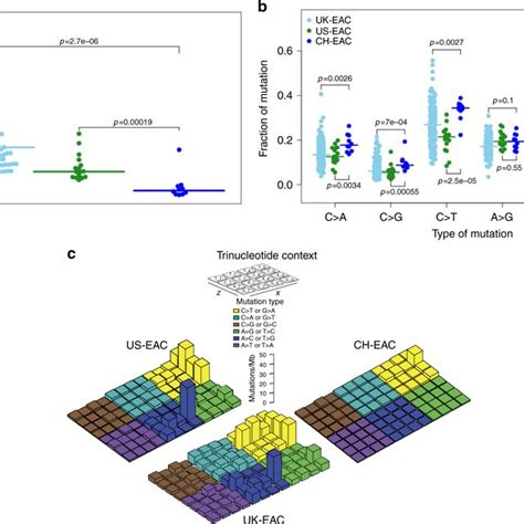 Comparisons Of Mutation Burden And Types Based On Whole Genome
