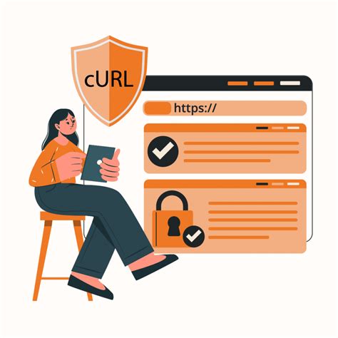 Curl D Command What Is It Benefits For Data Transfer NetNut