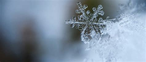 Ideen für frostig-schöne Winterbilder - Foto Erhardt Blog