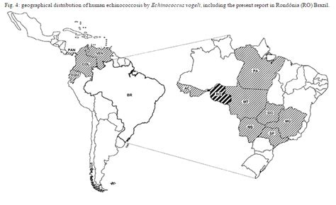 Memórias Do Instituto Oswaldo Cruz An Autochthonous Case Of Echinococcus Vogeli Rausch