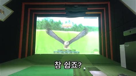 스크린 골프에서 이글하는법 대충 알려드림 golf 골프 드라이버 이글 스크린골프 퍼팅 ping youtube