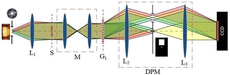 Diffraction Phase Microscopy Setup Download Scientific Diagram