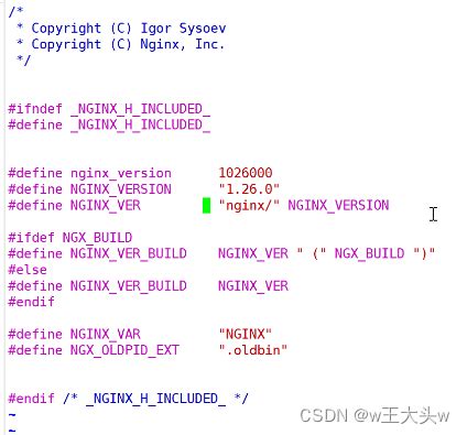 Nginx优化与防盗链 CSDN博客