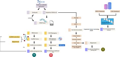 Phylogenetic Analysis The Flowchart Demonstrates The First Component