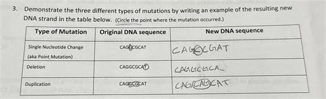 Solved Demonstrate the three different types of mutations by | Chegg.com