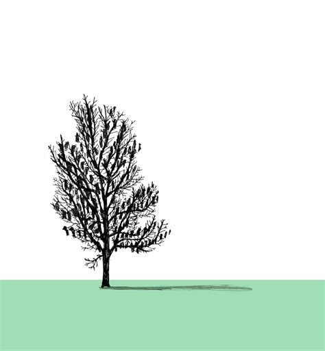 Tree Gif Tumblr Tree Gifs Page WiffleGif