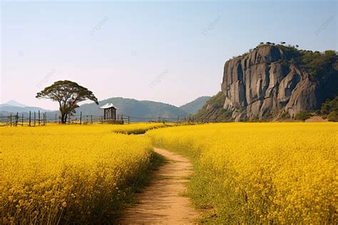 나무와 절벽이 있는 노란색 들판을 통과하는 하이킹 코스 경기도 고해상 구리시 배경 일러스트 및 사진 무료 다운로드 Pngtree