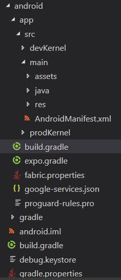 Visual Studio App Center Task AssembleDevKernelDebug Not Found In Project App Android