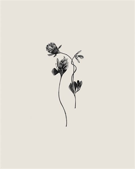 North Homeware Botanical Flow Drawing Art Print By Sam Scales