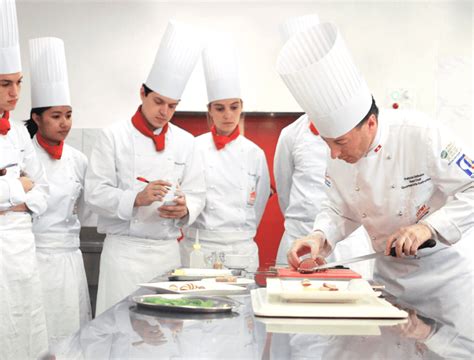 Global Swiss Learning Culinary Essential By Swiss Chefs Association