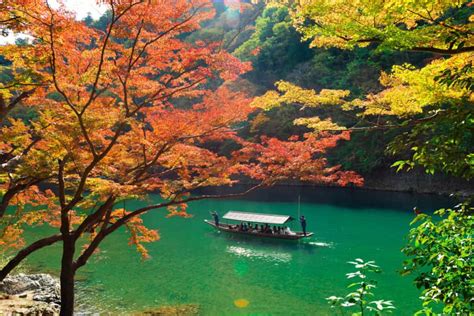 Arashiyama Bamboo Forest A Magical Grove In Kyoto Japan