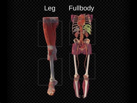 Gaussian Splatting Unity Plugin Gets Vr Support Radiance Fields