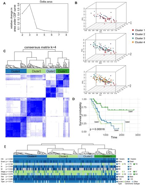 prognosis associated molecular subtype cluster analysis a b