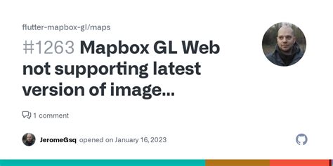 Mapbox GL Web Not Supporting Latest Version Of Image Package X X Issue Flutter