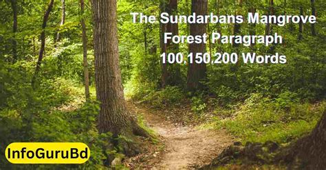 The Sundarbans Mangrove Forest Paragraph 100150200 Words