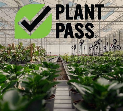 Plant Pass Workshop Nzppi