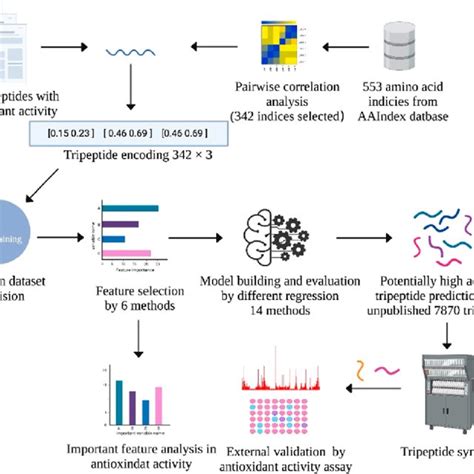 Flowchart For Qsar Modeling And Validation Of Antioxidant Tripeptides
