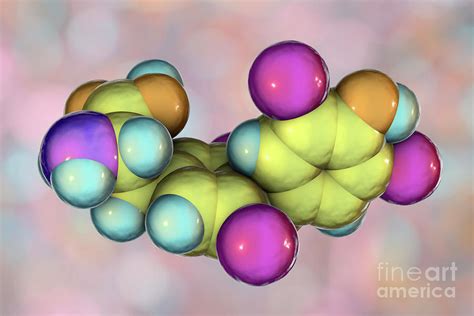 Thyroxine Hormone Photograph By Kateryna Konscience Photo Library